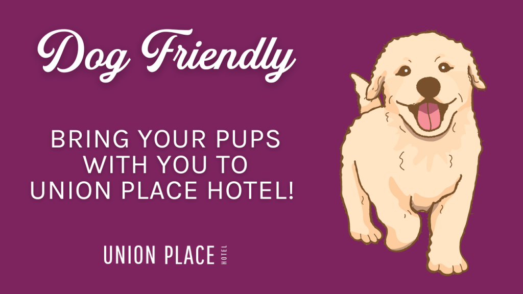 Union Place Hotel: Lunch & Night Specials Events in Jannali